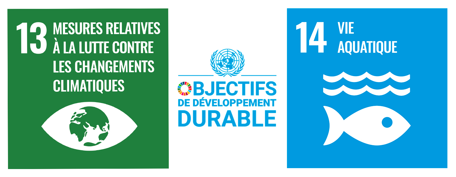 SimONU on the Paris campus