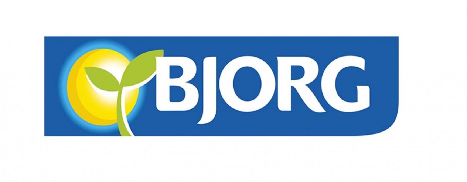 Hand-on marketing with Bjorg! - Kedge Business School