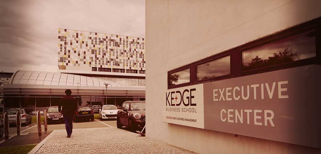 The Governance and the Executive Committee - The Governance and the ...